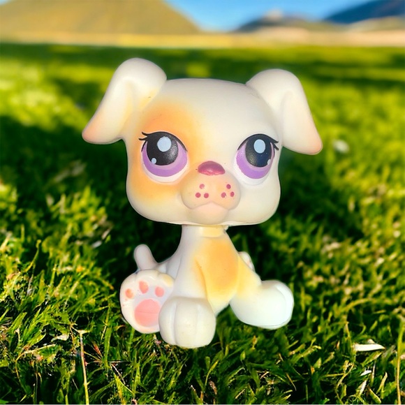 Littlest Pet Shop | Accessories | Littlest Pet Shop 437 White Tan Boxer ...